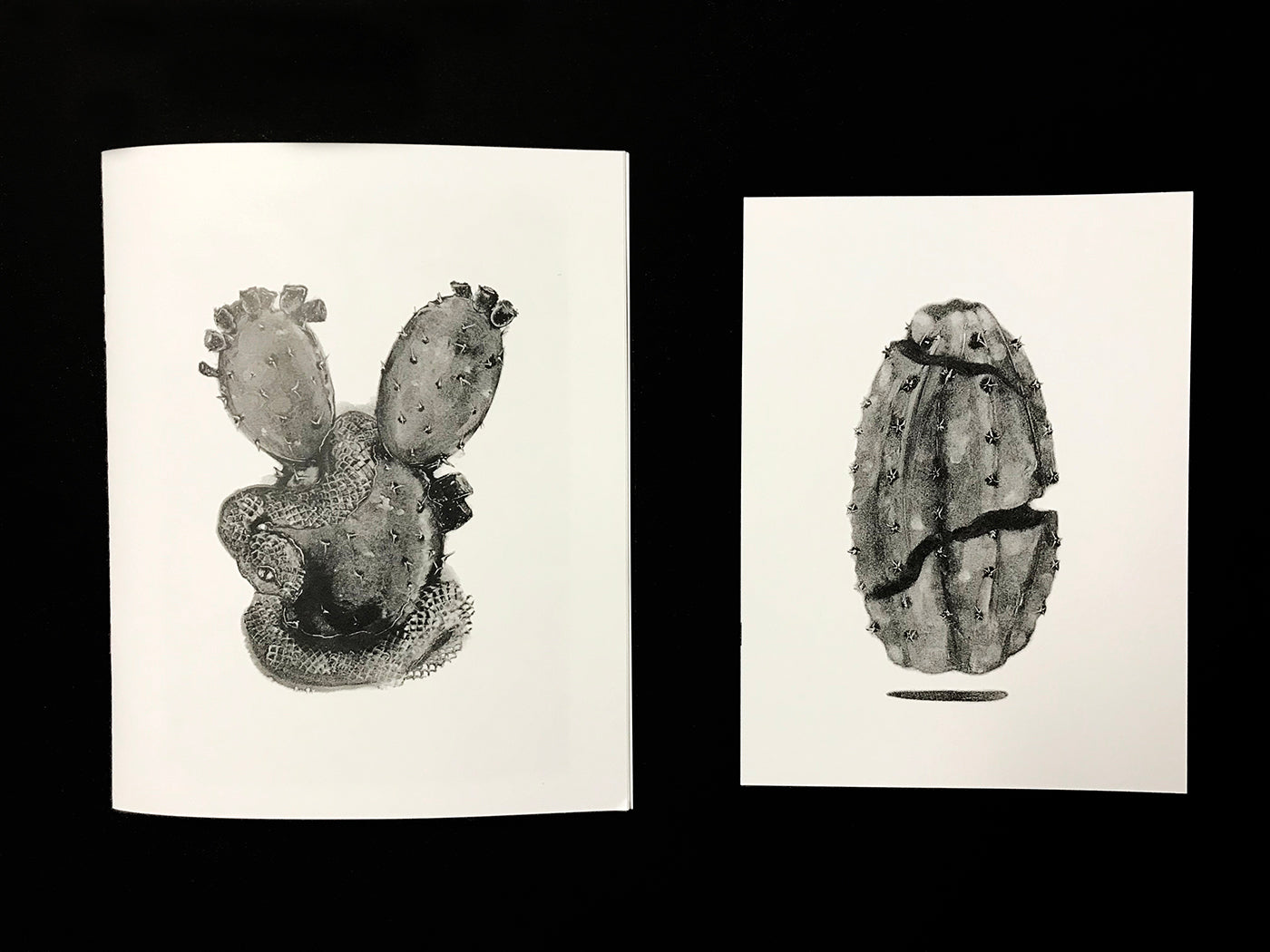 Grady Gordon Zine + Print release – Public Land Store