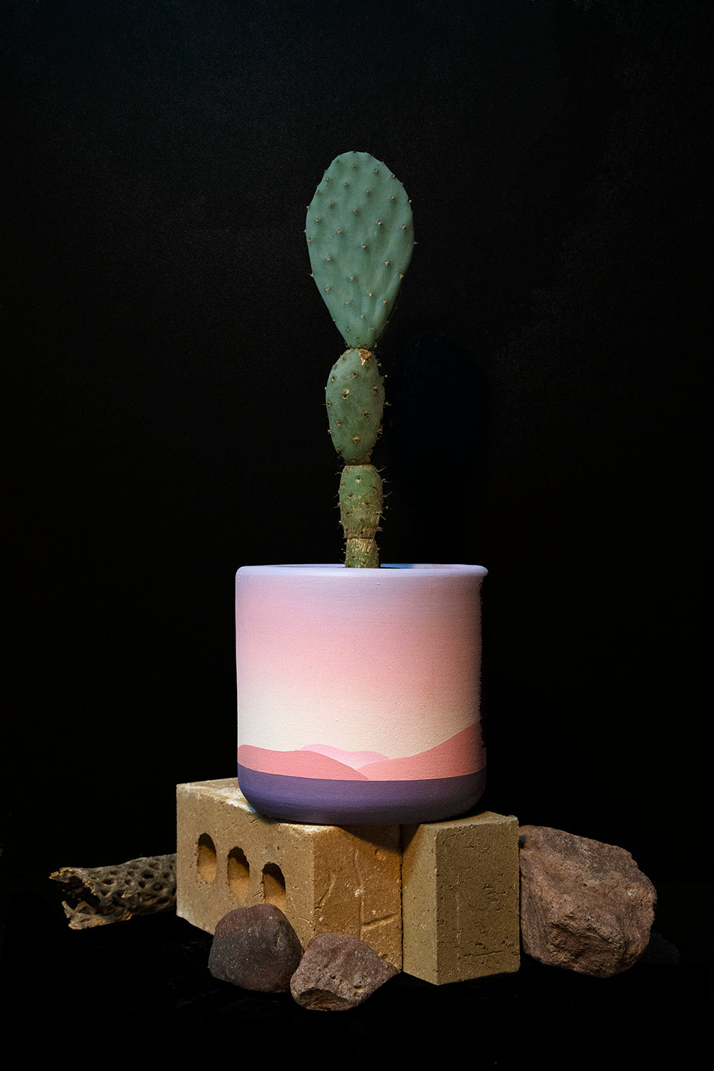 Maxwell McMaster x Public Land custom planters – Public Land Store