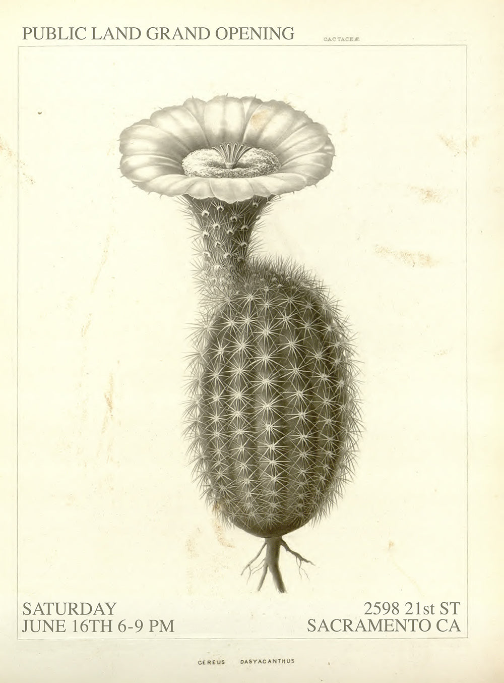 Grand Opening! – Public Land Store