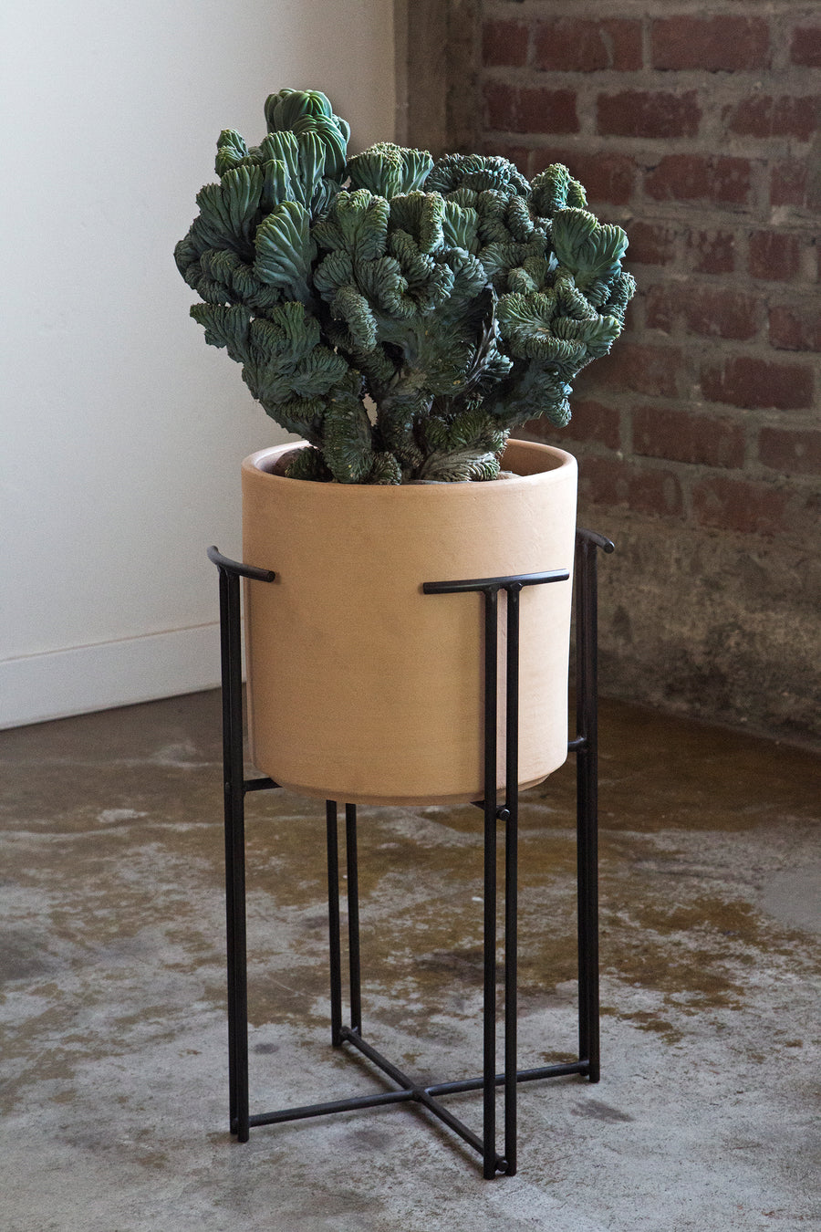 Trent Dean x Public Land Plant Stand – Public Land Store